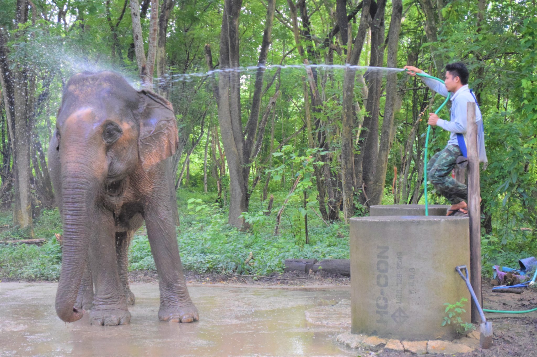 Chiang Rai Thailand: Elephant Sanctuary - The Manila PH - Manila Made ...