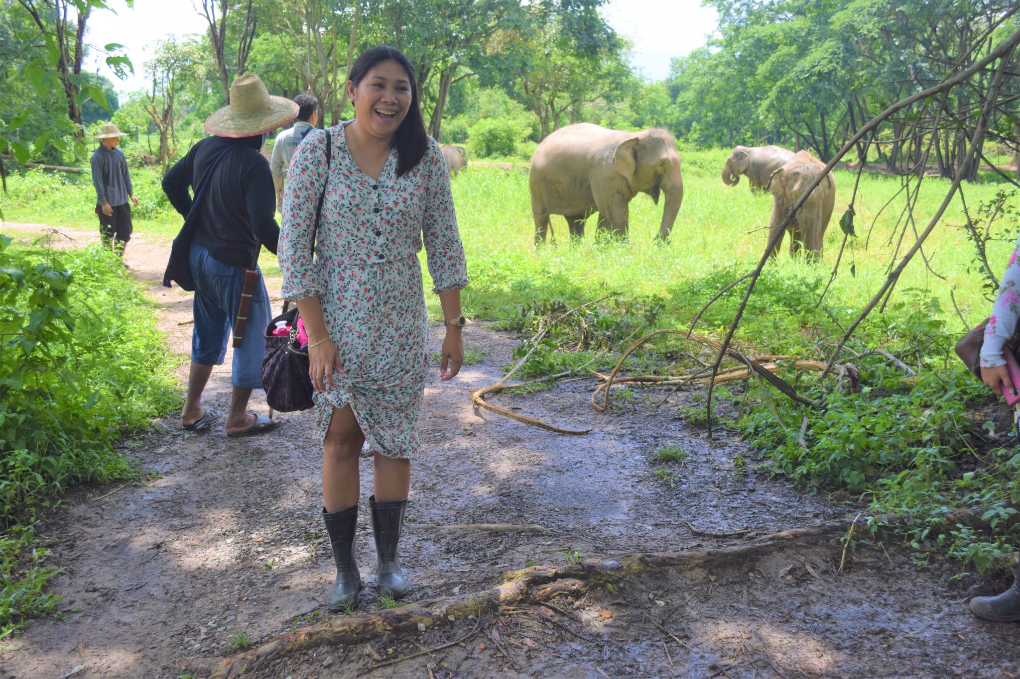 Chiang Rai Thailand: Elephant Sanctuary - The Manila PH - Manila Made ...