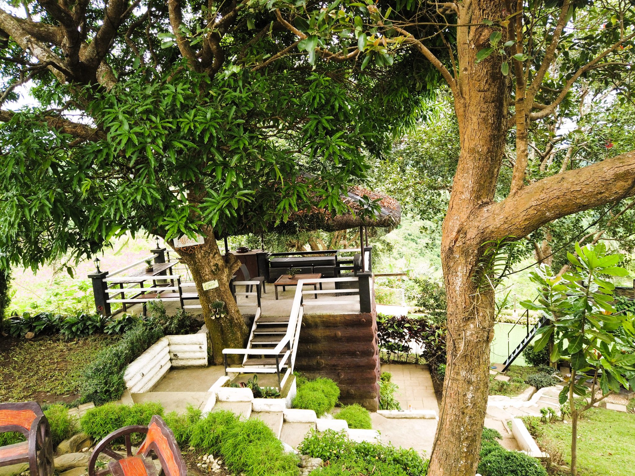 Unveiling the Charm of Althea's Orchard Private Resort in Lemery ...